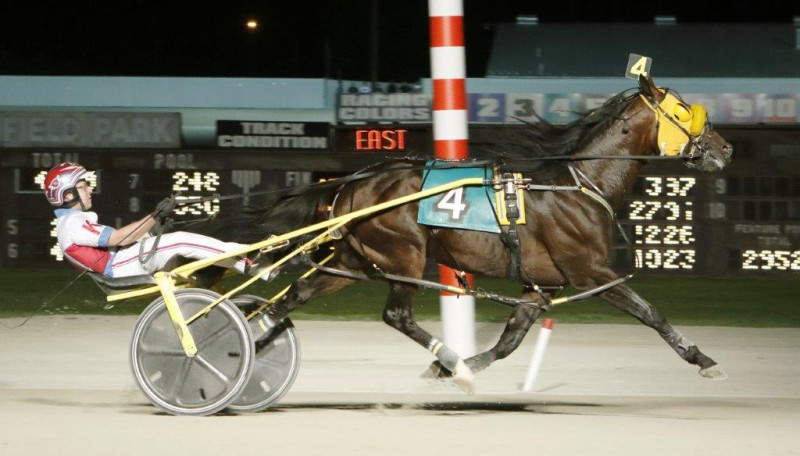 Stallion Spotlight: All Bets Off - Ontario Sires Stakes