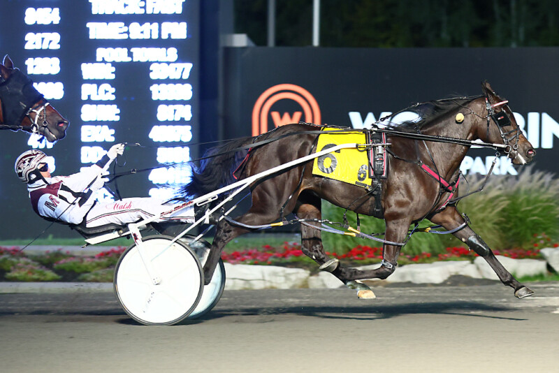 Lifetime Mark’s Established in Both Sophomore Pacing Grassroots ...