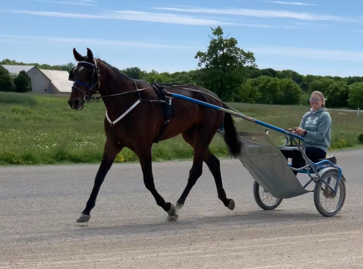 Austin Making Training Debut on Kin Pace Day with OSS Grassroots ...