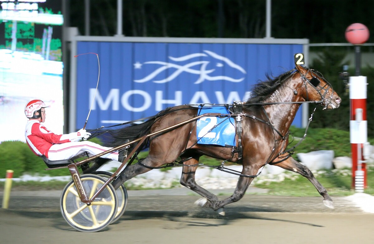NA Cup Rewind: Canada’s Horse Wins Canada’s Race - Ontario Sires Stakes