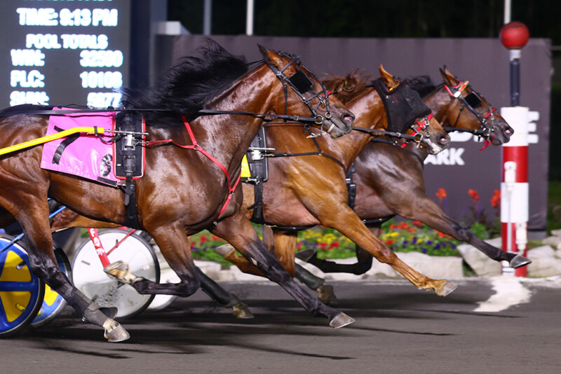 OSS Takes Over Friday Night at Woodbine Mohawk Park - Ontario Sires Stakes