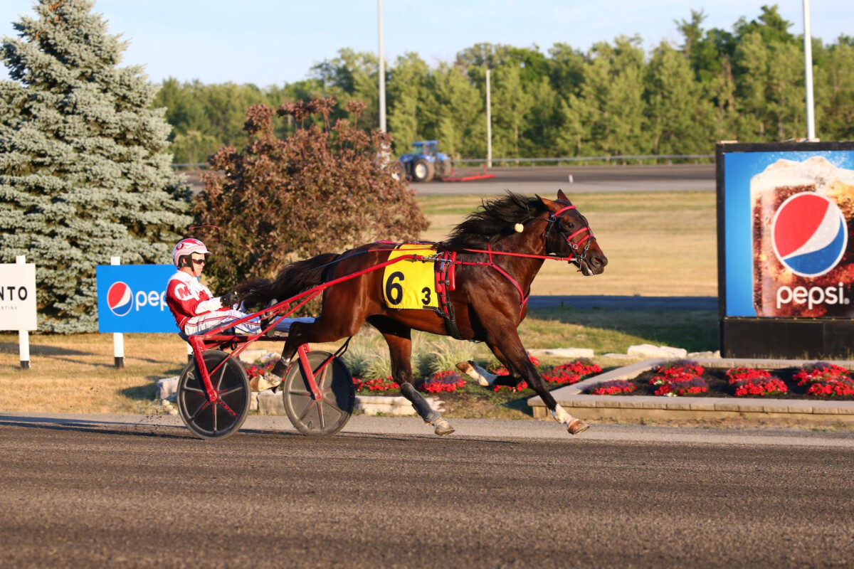Bax Trotters Ready for Big Super Final Night - Ontario Sires Stakes