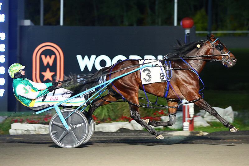 Spring Check-In with Super Final Winners - Ontario Sires Stakes