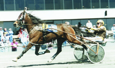 OSS 50th Anniversary: How Georgian Downs has continued Barrie Raceway's ...