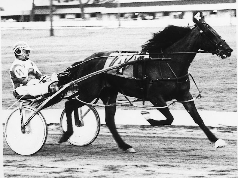 OSS 50th Anniversary: Why harness racing is part of the fabric of the ...