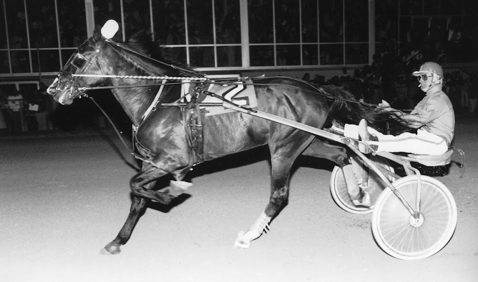 OSS 50th Anniversary: How Kawartha Downs helped future stars get their ...