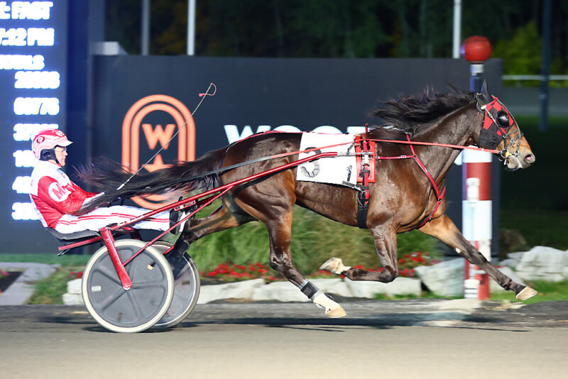 What a Lady, What a Night in the Two-Year-Old Trotting Filly Super ...