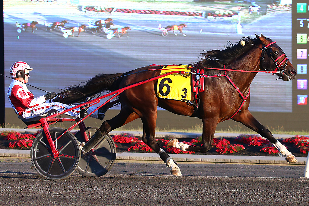 Big Big Plans Goes Back-to-Back in OSS Gold Action - Ontario Sires Stakes