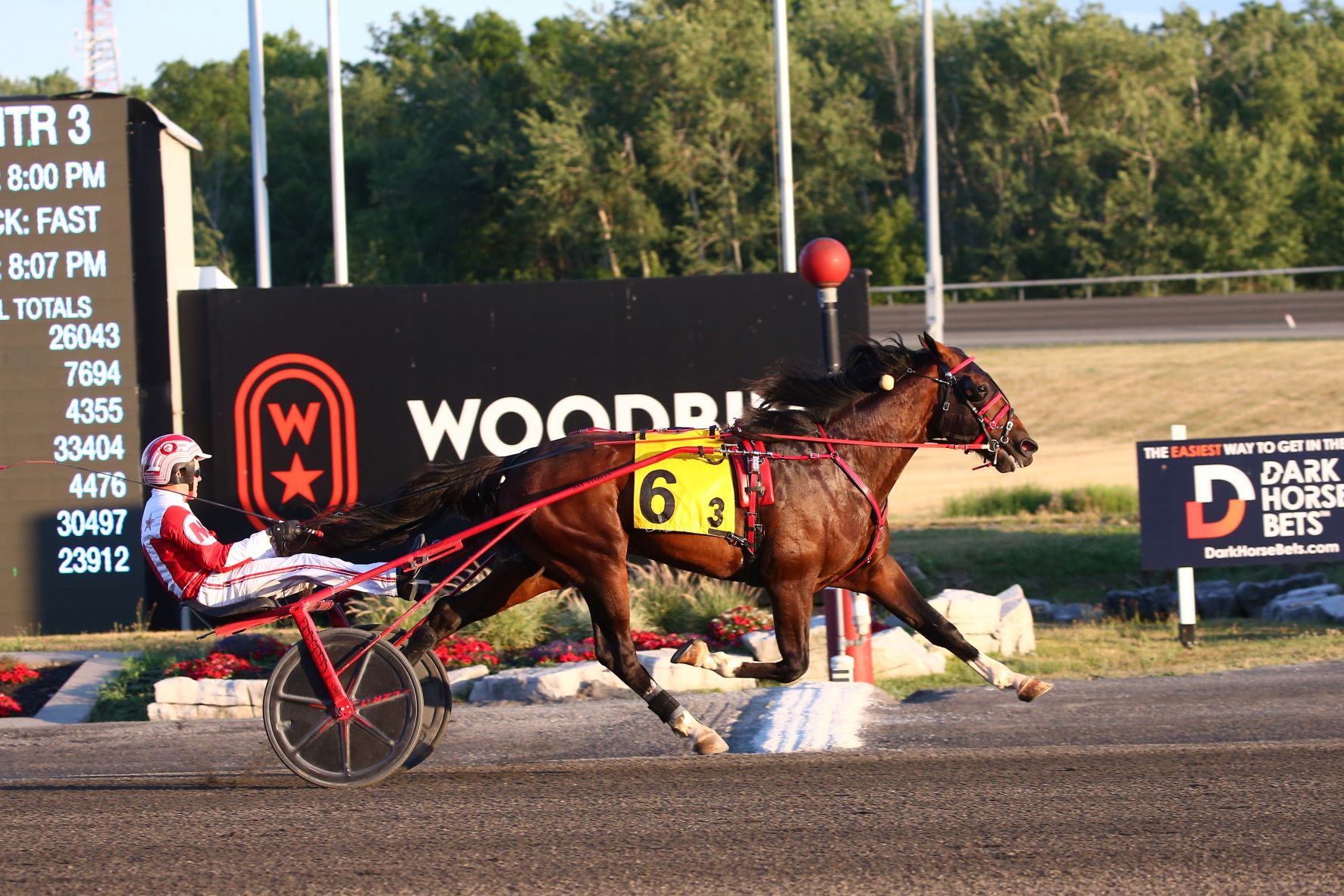 Breeders Crown Eliminations Ontario Sired Preview - Ontario Sires Stakes