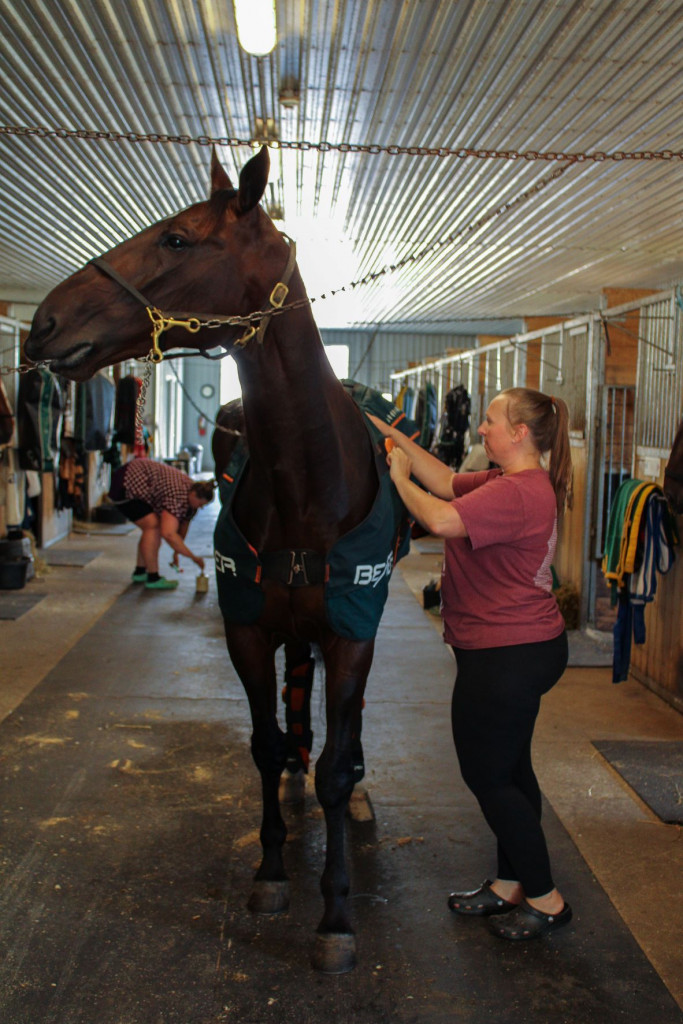 Caring Comes Naturally to Tami Sepper - Ontario Sires Stakes